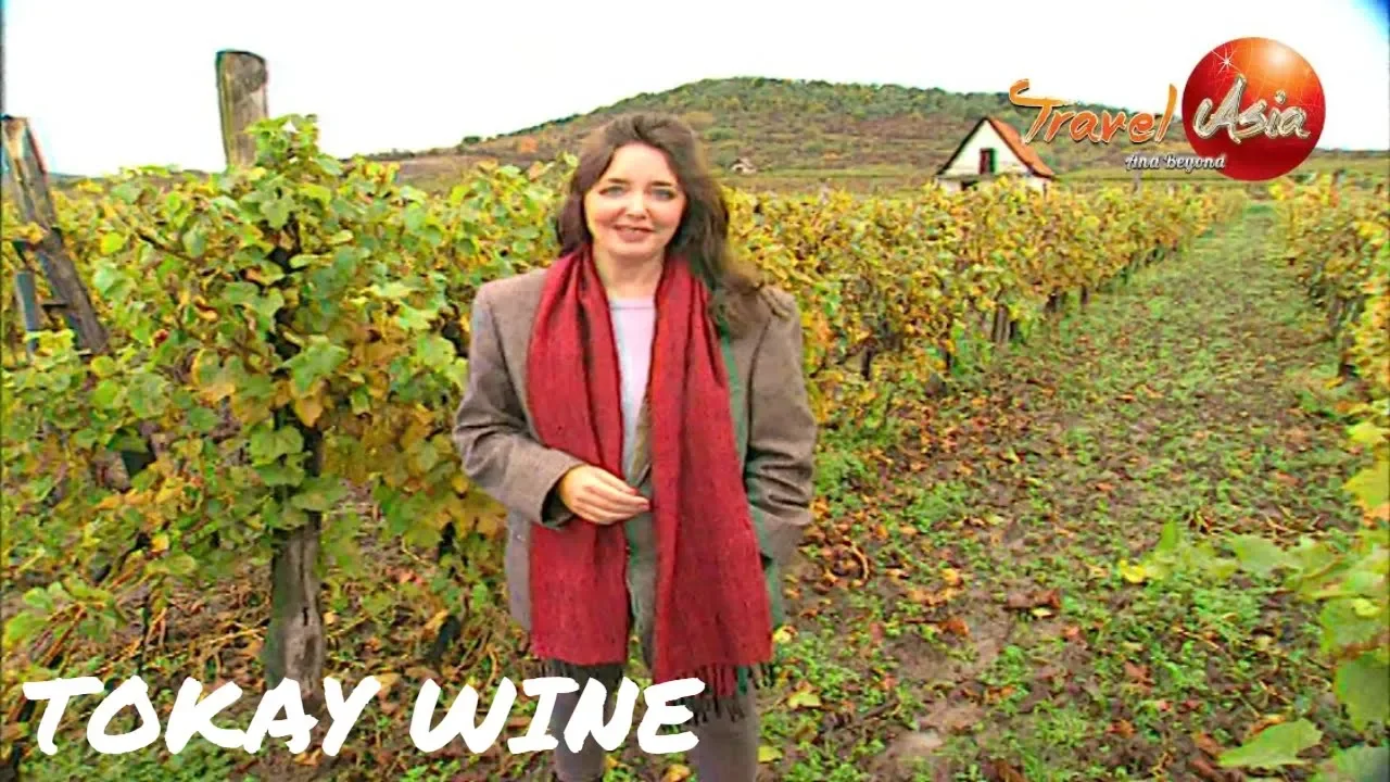 Tokay | Hungary’s Sweet Wine Region | Travel Asia and Beyond