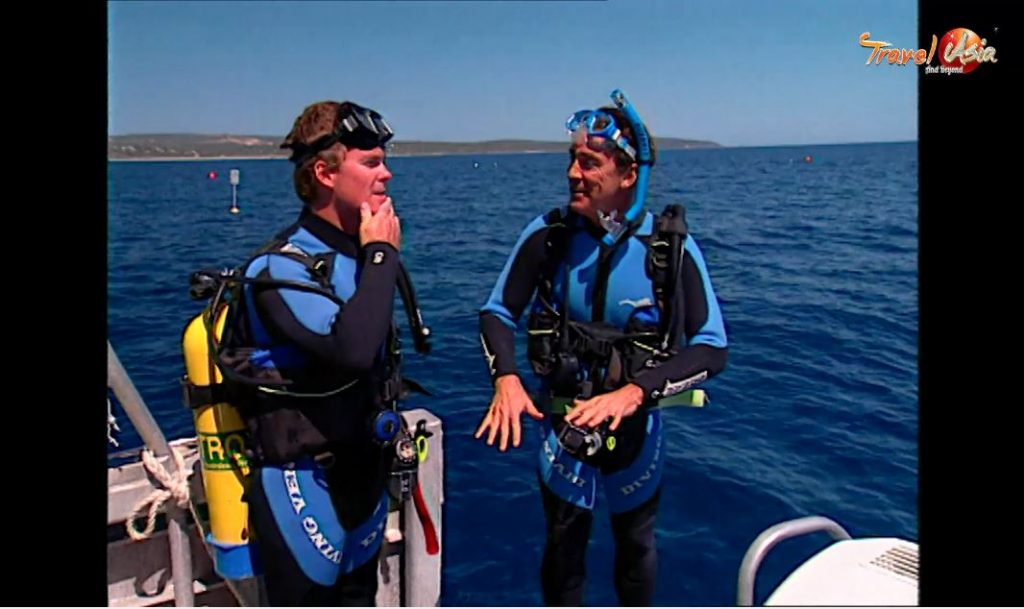 Australia - An eco-diving experience on the wreck of HMAS Swan | Travel ...
