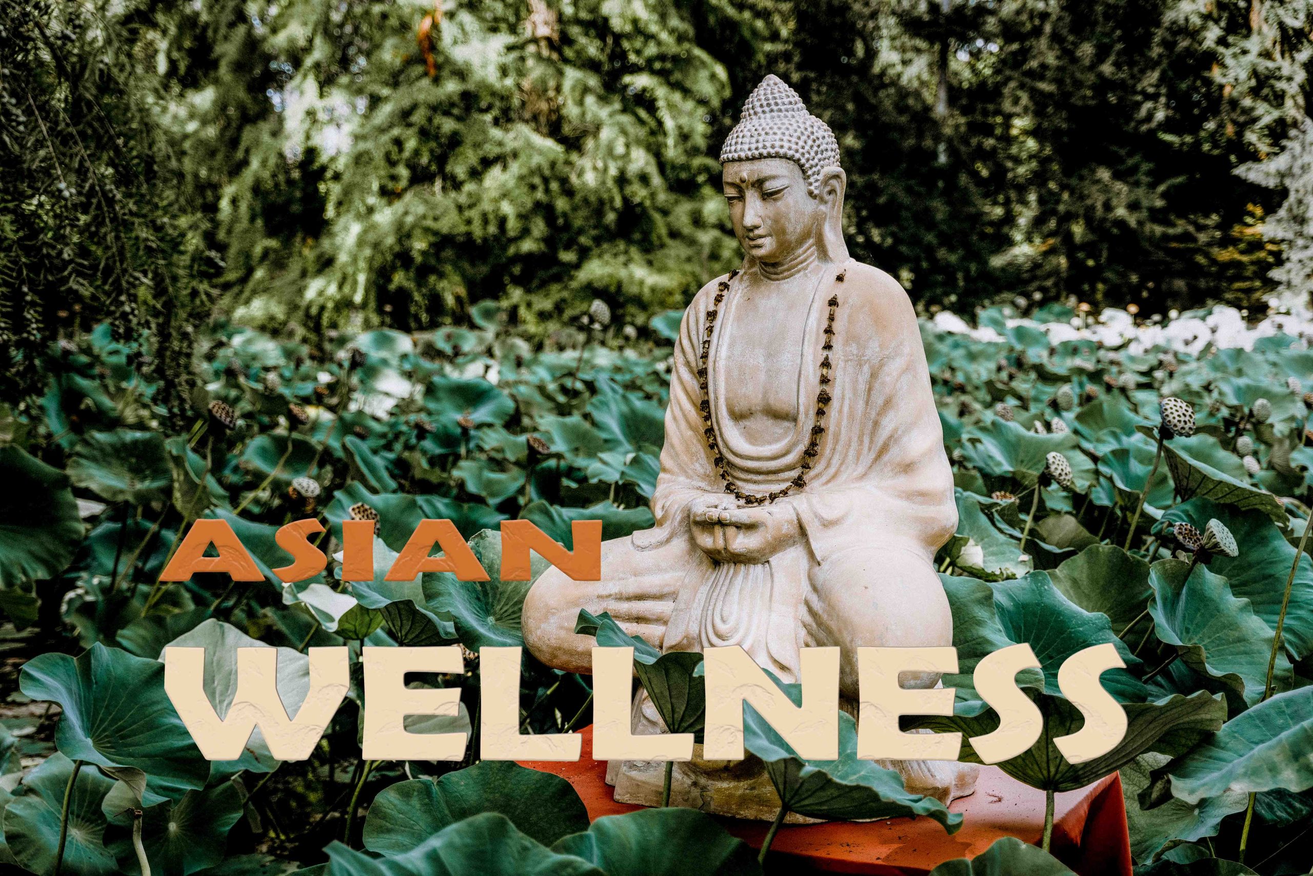 Best Asian Wellness Destinations | Travel Asia and Beyond
